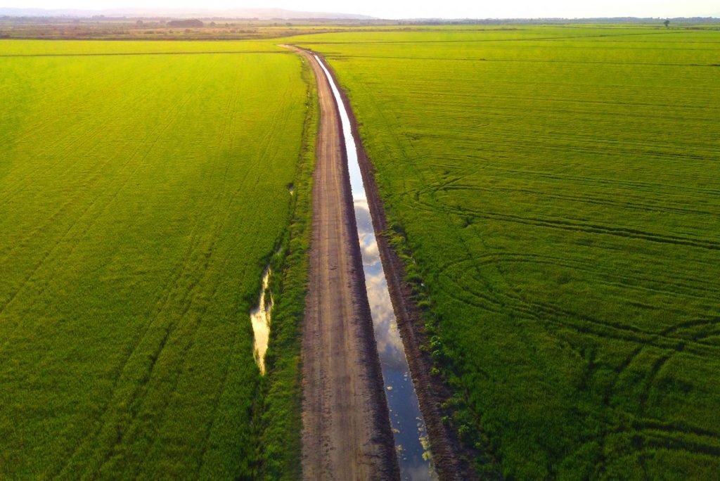 European Rice – Enjoy! It’s from Europe